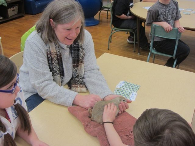 9 Great Ways To Donate To Living Sky Wildlife Rehabilitation - Living ...