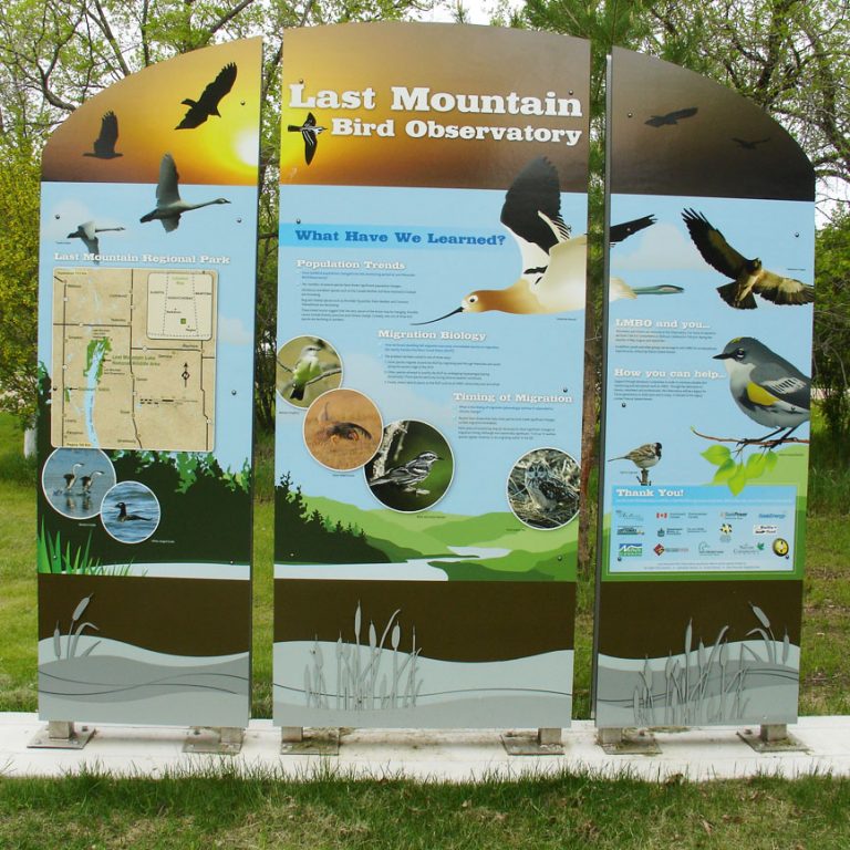 Last Mountain Lake Bird Sanctuary Tour With 2 Great Options From ...
