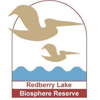 Redberry Lake Bird Sanctuary Tour - 8 Hours With Fascinating Woodland ...