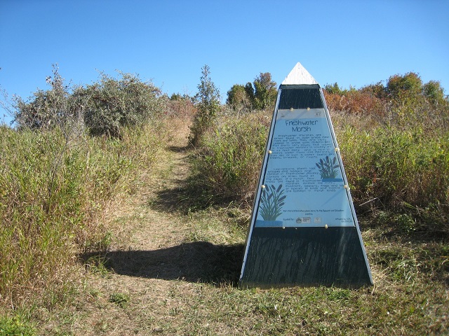 Redberry Lake Bird Sanctuary Tour - 8 Hours With Fascinating Woodland ...