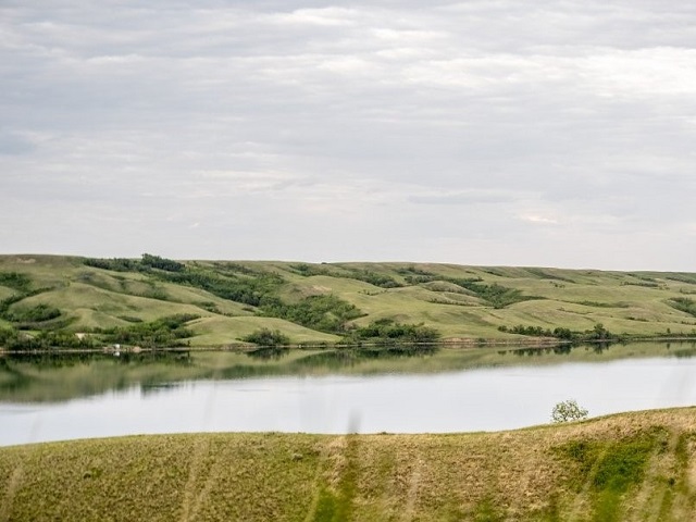 Buffalo Pound Park 2024 - Great Birding Day Tour From Moose Jaw, Regina ...