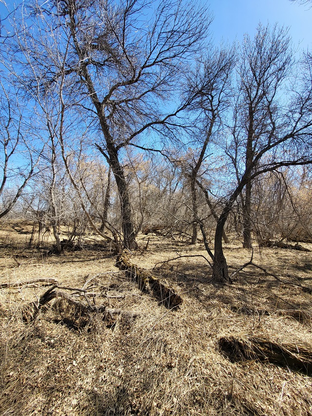 Gardiner Dam - Anerley Lakes Birding Tour 2023