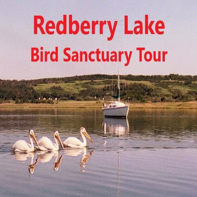Redberry Lake Bird Sanctuary Tour - 8 Hours With Fascinating Woodland ...