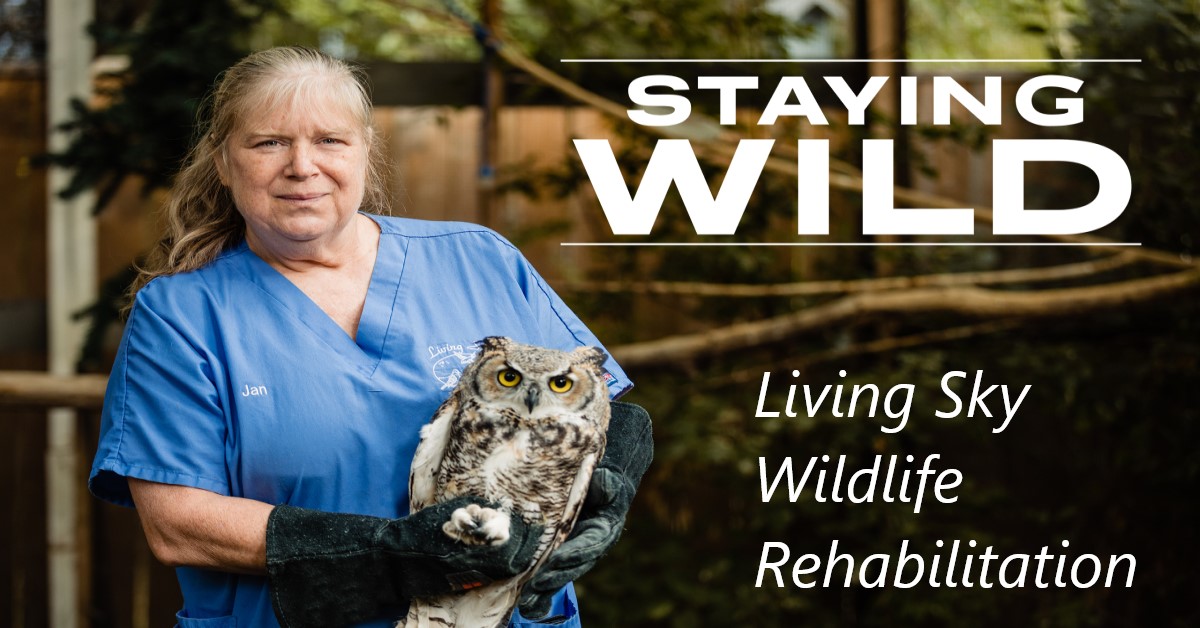 Staying Wild TV Show