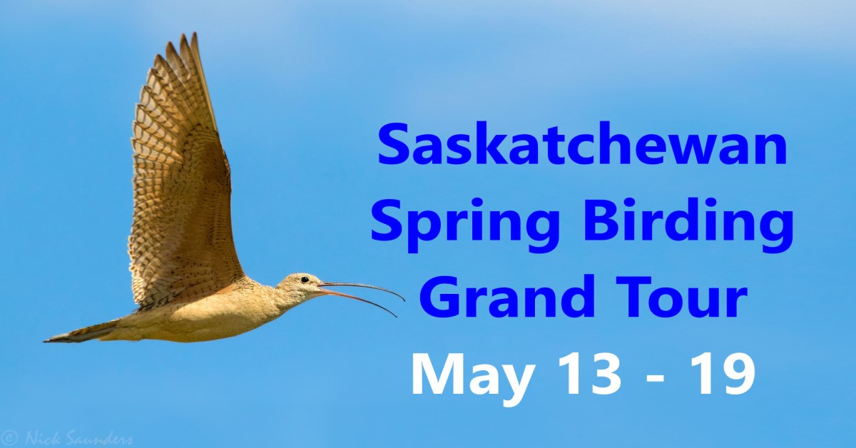 Canada - Saskatchewan Spring Birding Grand Tour: May 13-19, 2026 ...